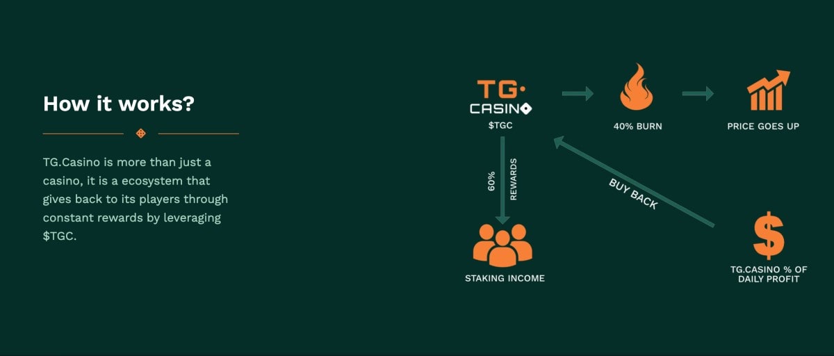 Akıllı Kripto Yatırımı | 2024'te Hangi Kripto Yükselecek? | StormGain